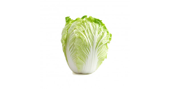 Nappa Cabbage